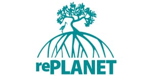 What is Clean Development Mechanism| Earthood